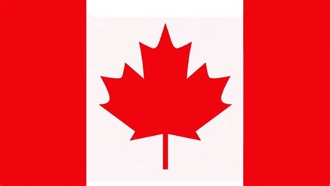 Made in Canada Shaving & Grooming Products – The Razor Company